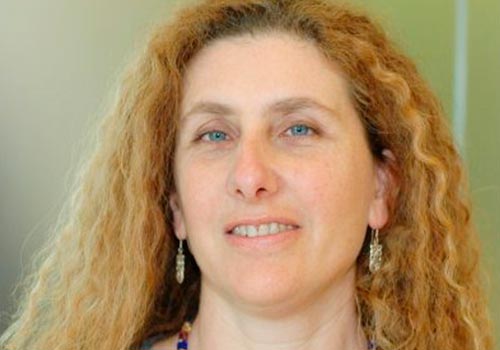 Julie Lerman - API Conference